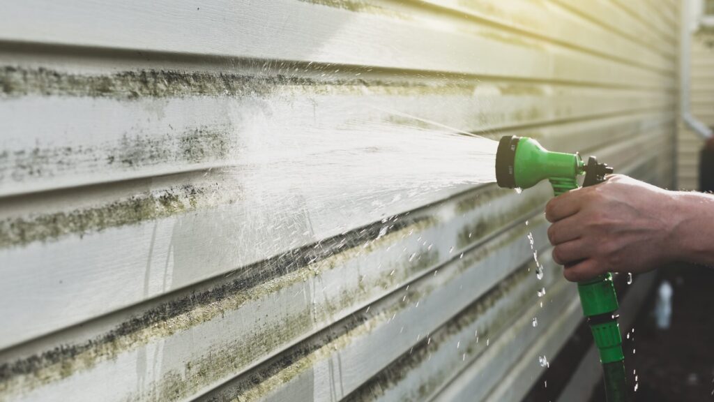 What Should I Do If My Siding Has Mold or Mildew? - Smart Exteriors